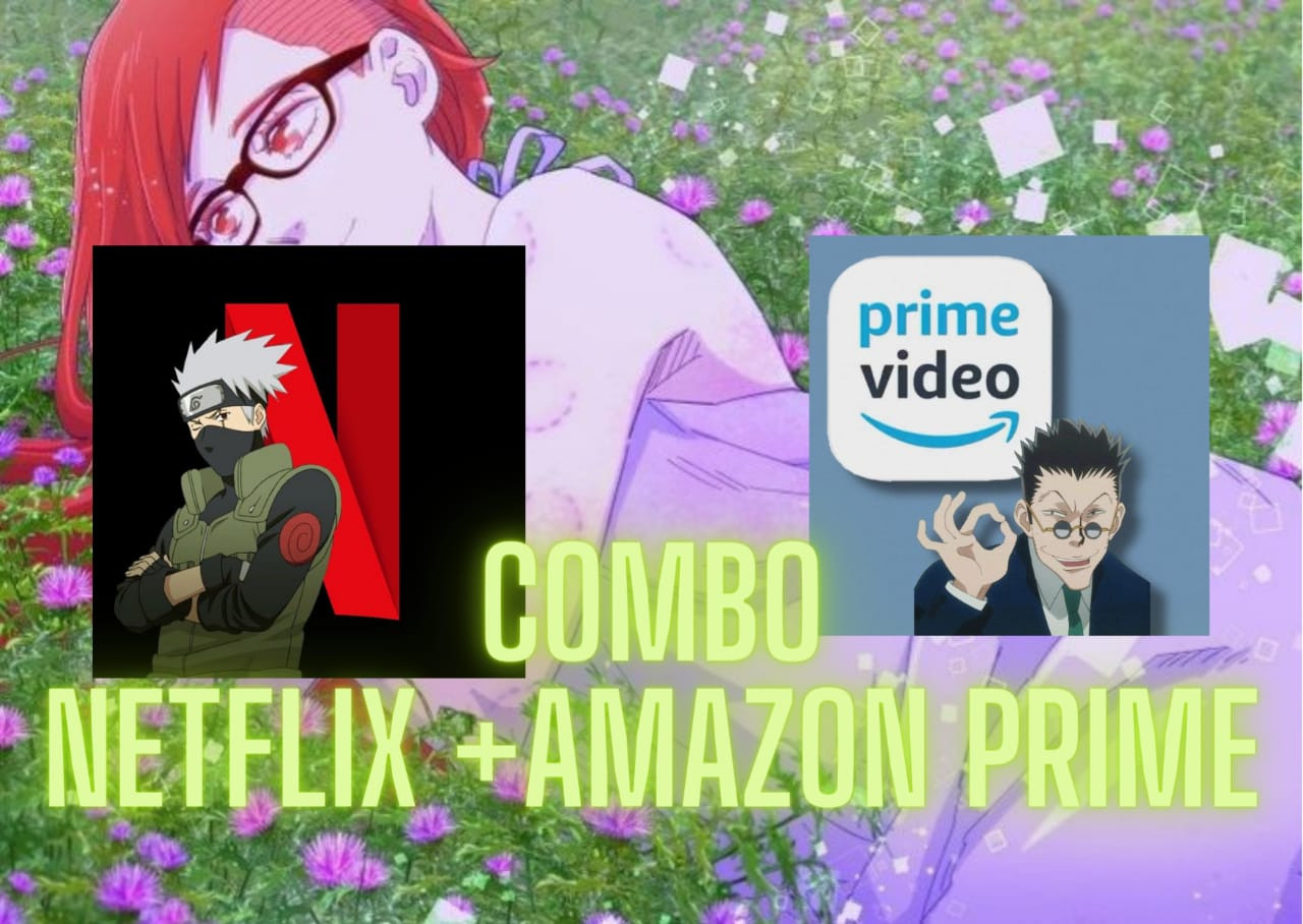 ADLM DIGITALZOOM Netflix Amazon prime Star Plus Disney spotify YouTube ...